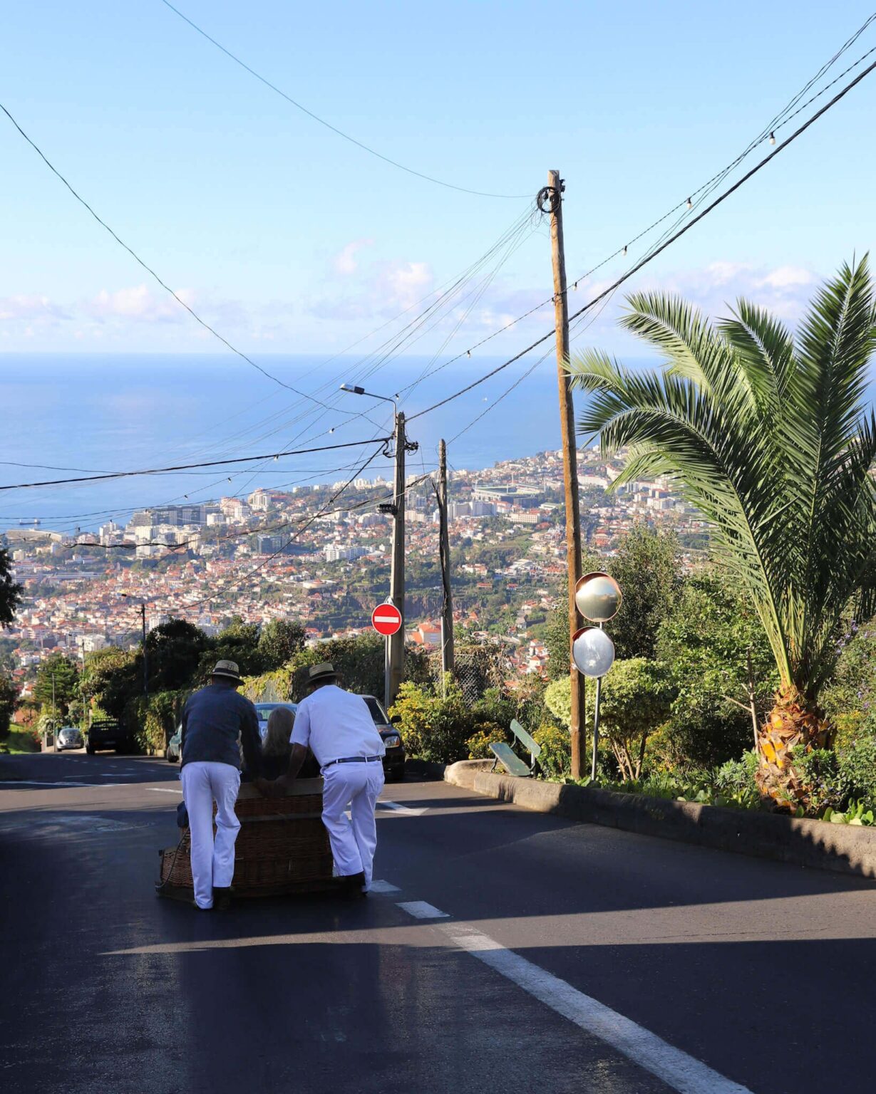 Madeira - Reiseguide til blomsterøya - World with a Suitcase